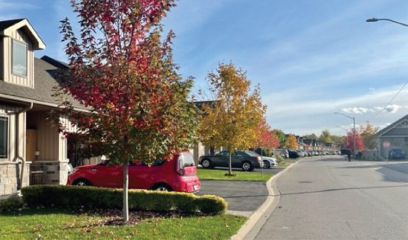 Services – Morgan Planning & Development